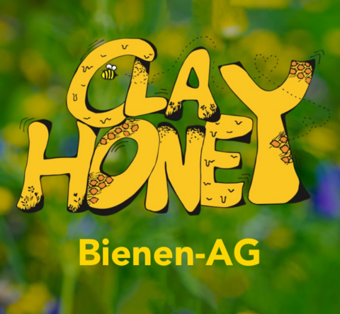 Login - Clay-Schule